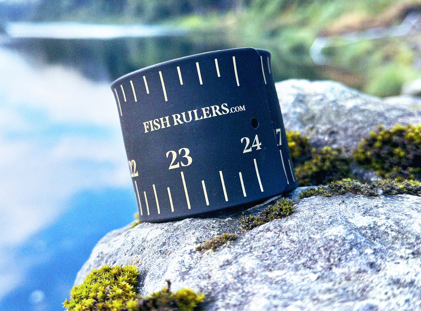 Fish Rulers